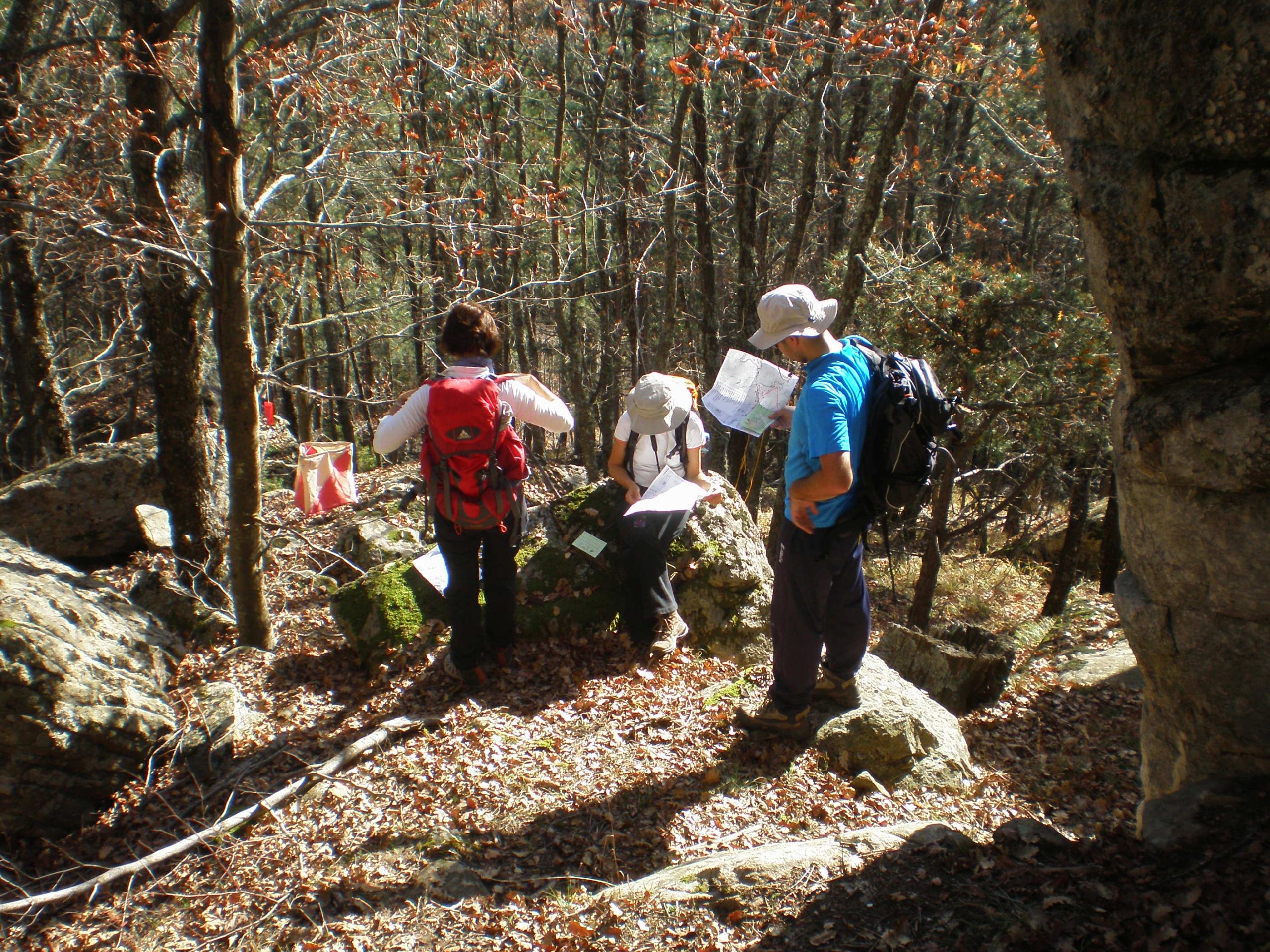 Training in orienteering. Holomon mountain. Tuesday, 20.9.2022. | Greek ...