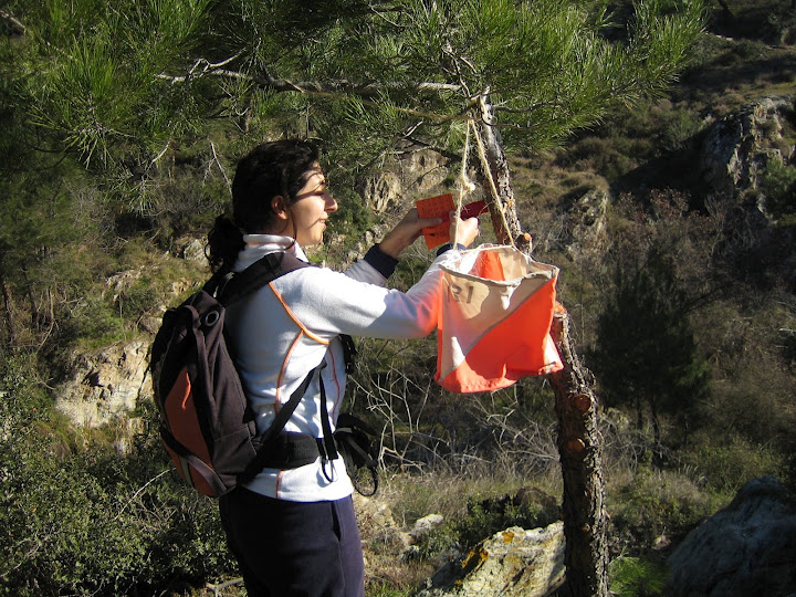 Orienteering race 16th of November 2023. Seih Sou forest, Thessaloniki ...